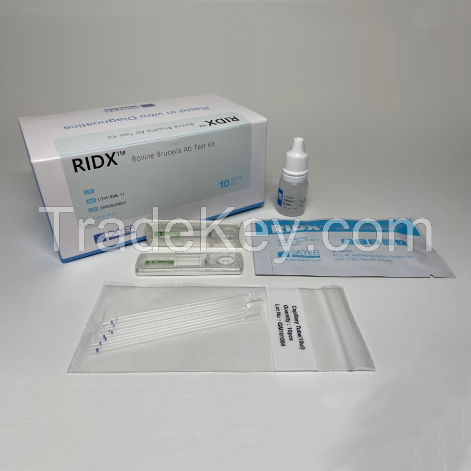 RIDX Bovine Brucella Ab Rapid Test Kit By SKYER, South Korea